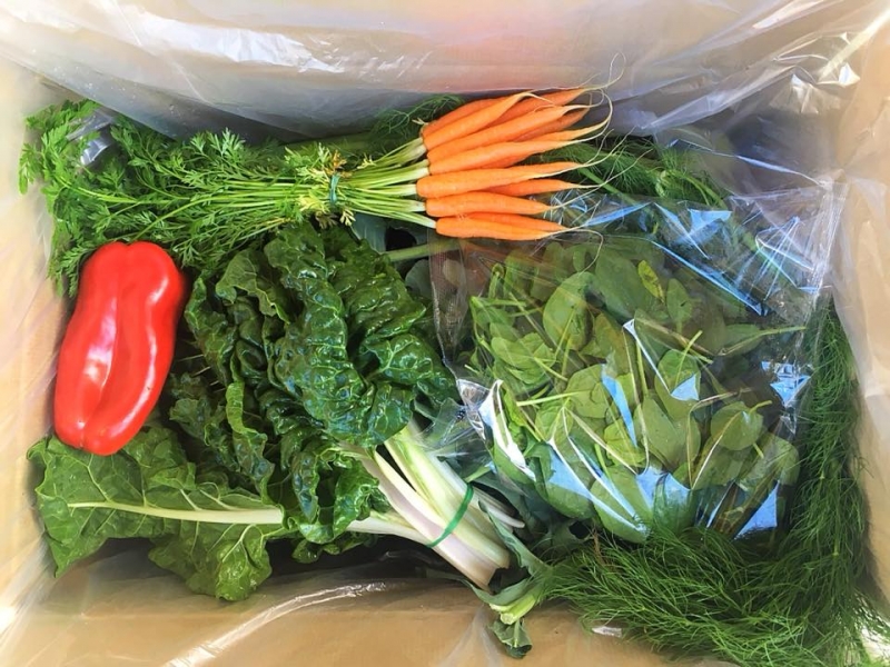 Place an Order | Fresco Produce | Perth/Mandurah
